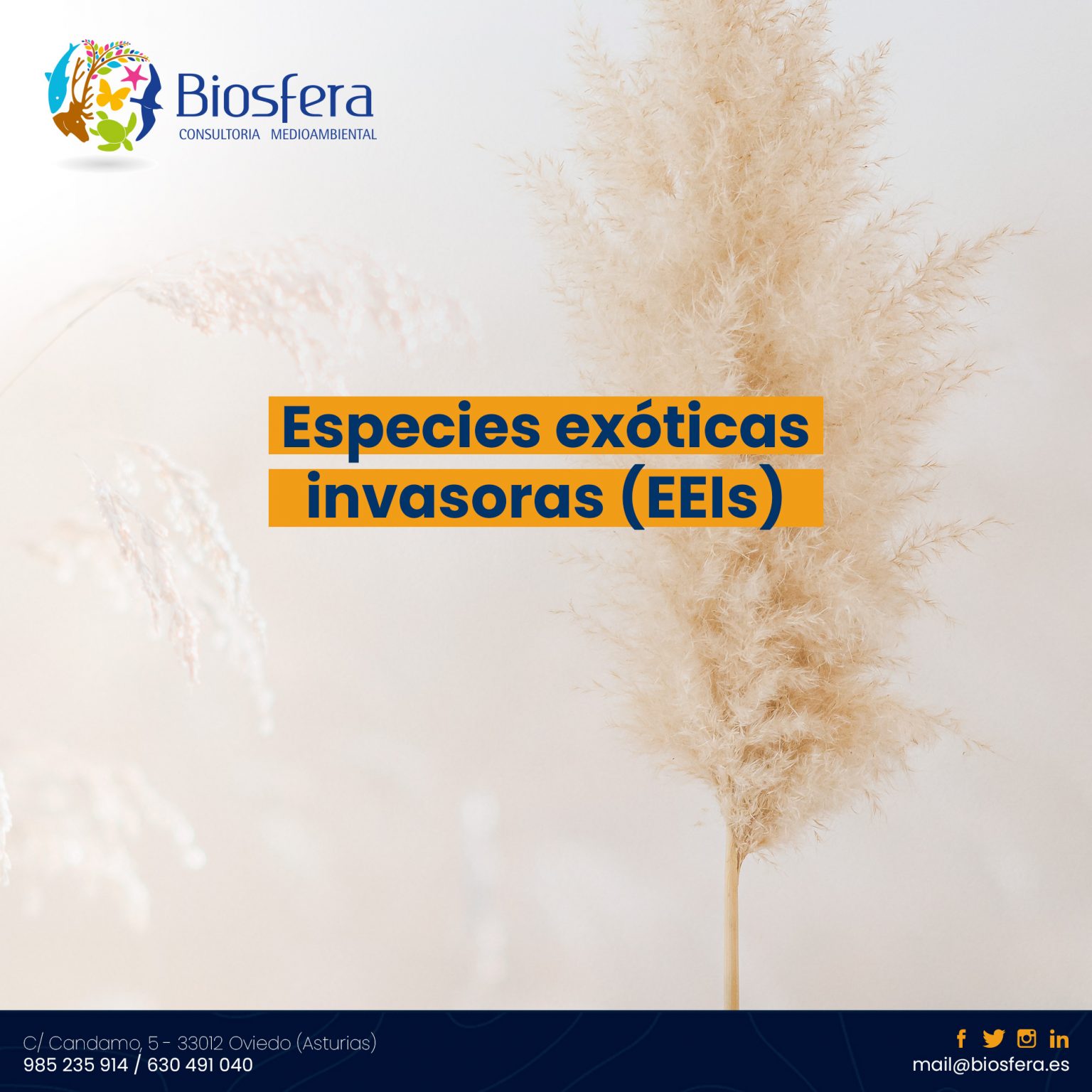 Biosfera | Especies exóticas invasoras (EEIs)